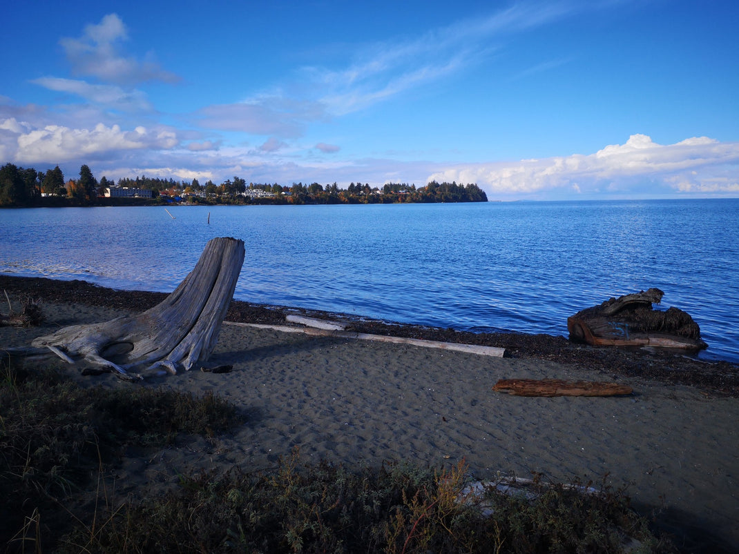 RV Sites – Park Sands Beach Resort