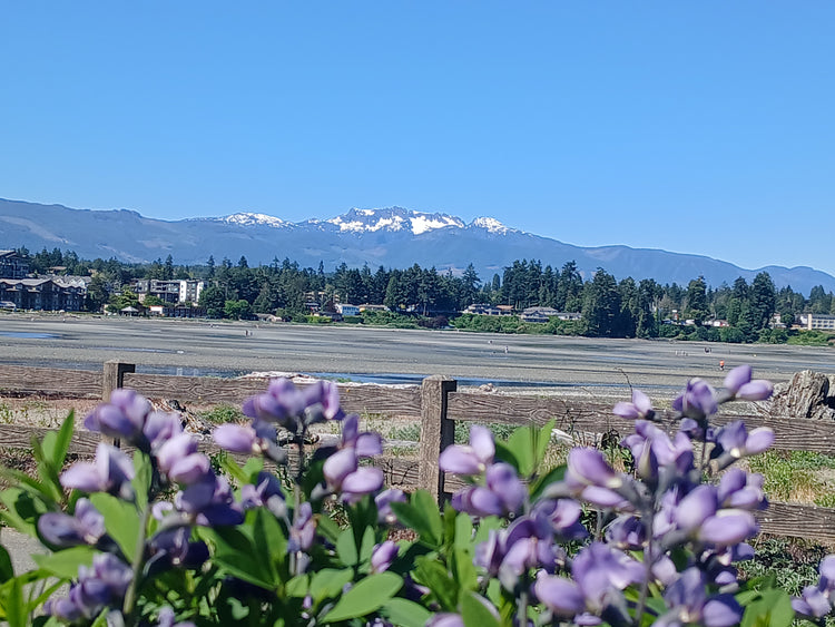 Park Sands Beach Resort