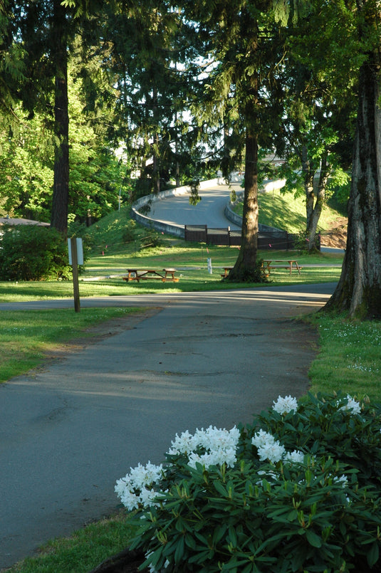 Park Sands Beach Resort