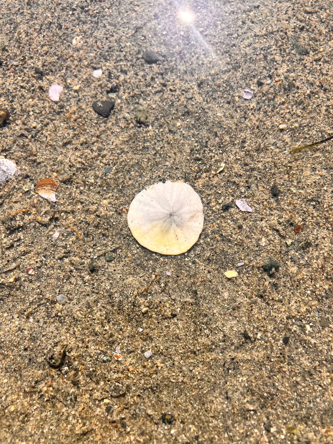 Park Sands Beach Resort